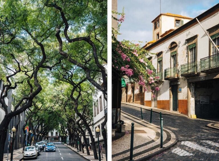 De leukste cafés, bakkerijen en restaurants in Funchal, Madeira ...