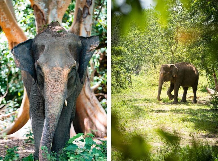 Rondreis Sumatra, Indonesië: de ultieme reisroute van drie weken ...