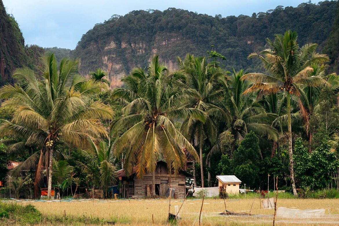 Rondreis Sumatra, Indonesië: de ultieme reisroute van drie weken ...