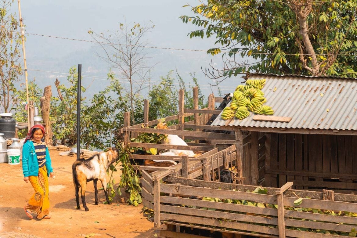 De leukste tips voor Bandipur, het mooiste dorpje van Nepal - Karlijn ...