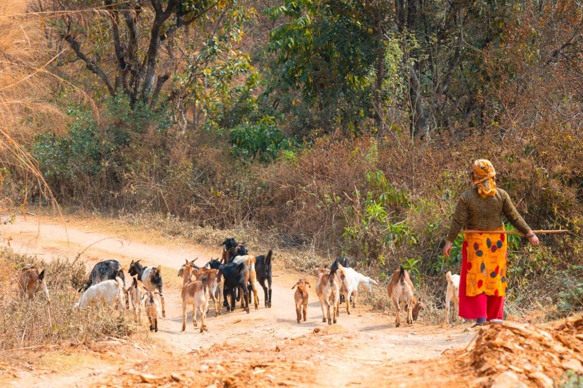 De leukste tips voor Bandipur, het mooiste dorpje van Nepal - Karlijn ...