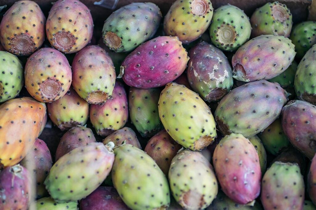 Wat te doen in Palermo, Sicilië? 25x de leukste tips! - Karlijn Travels